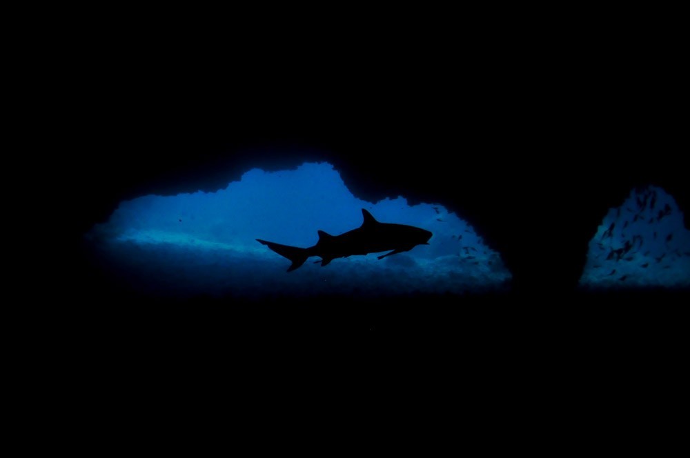 Gato Island – Cave – Ocean Passion Malapascua Philippines